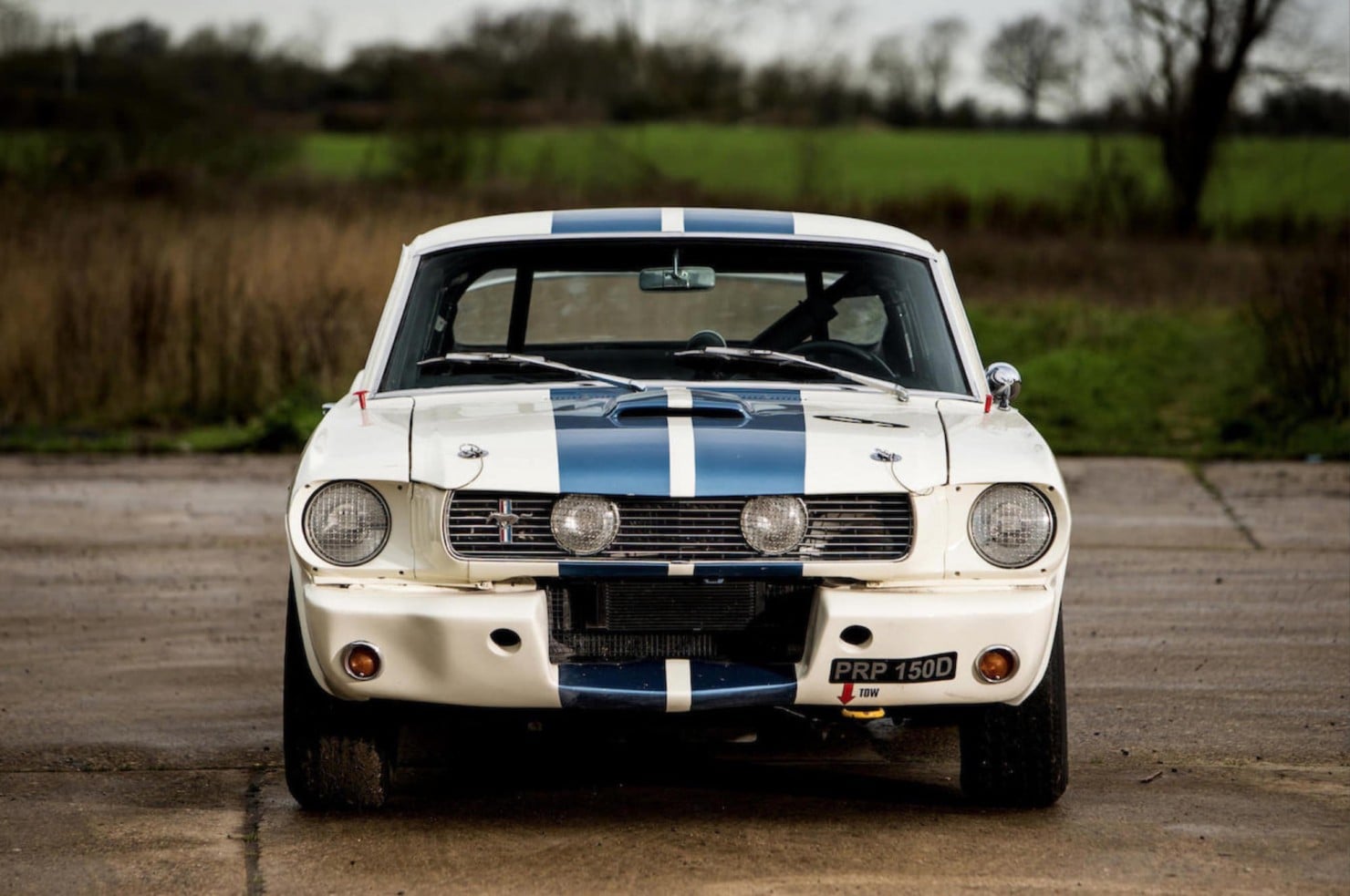 1966 Ford Mustang Shelby GT 350