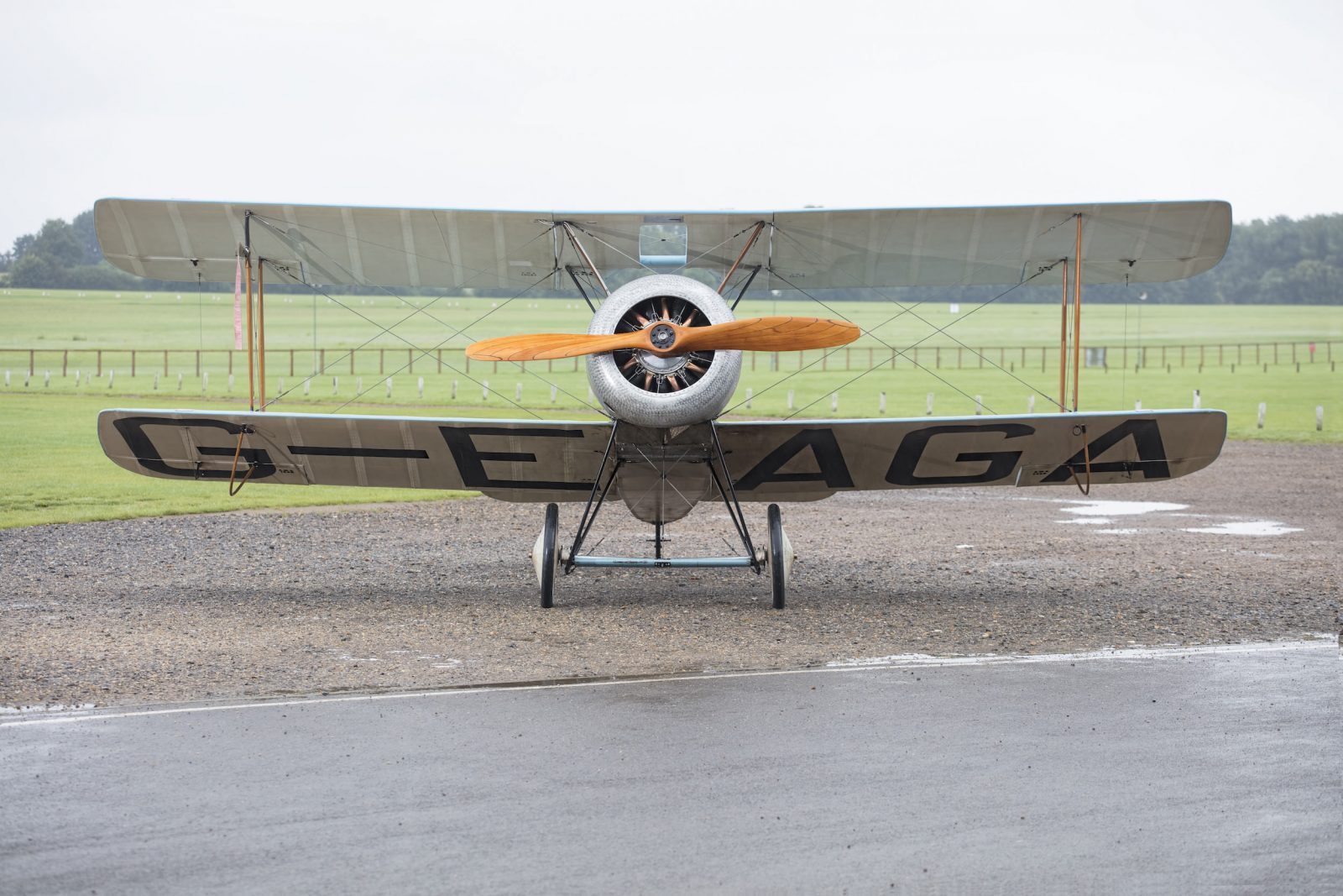 Sopwith Dove Biplane