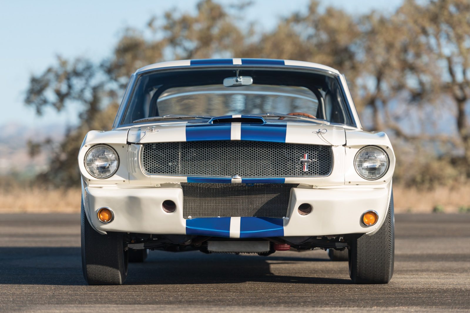 Cobra Caravan Survivor: 1965 Shelby GT350 R