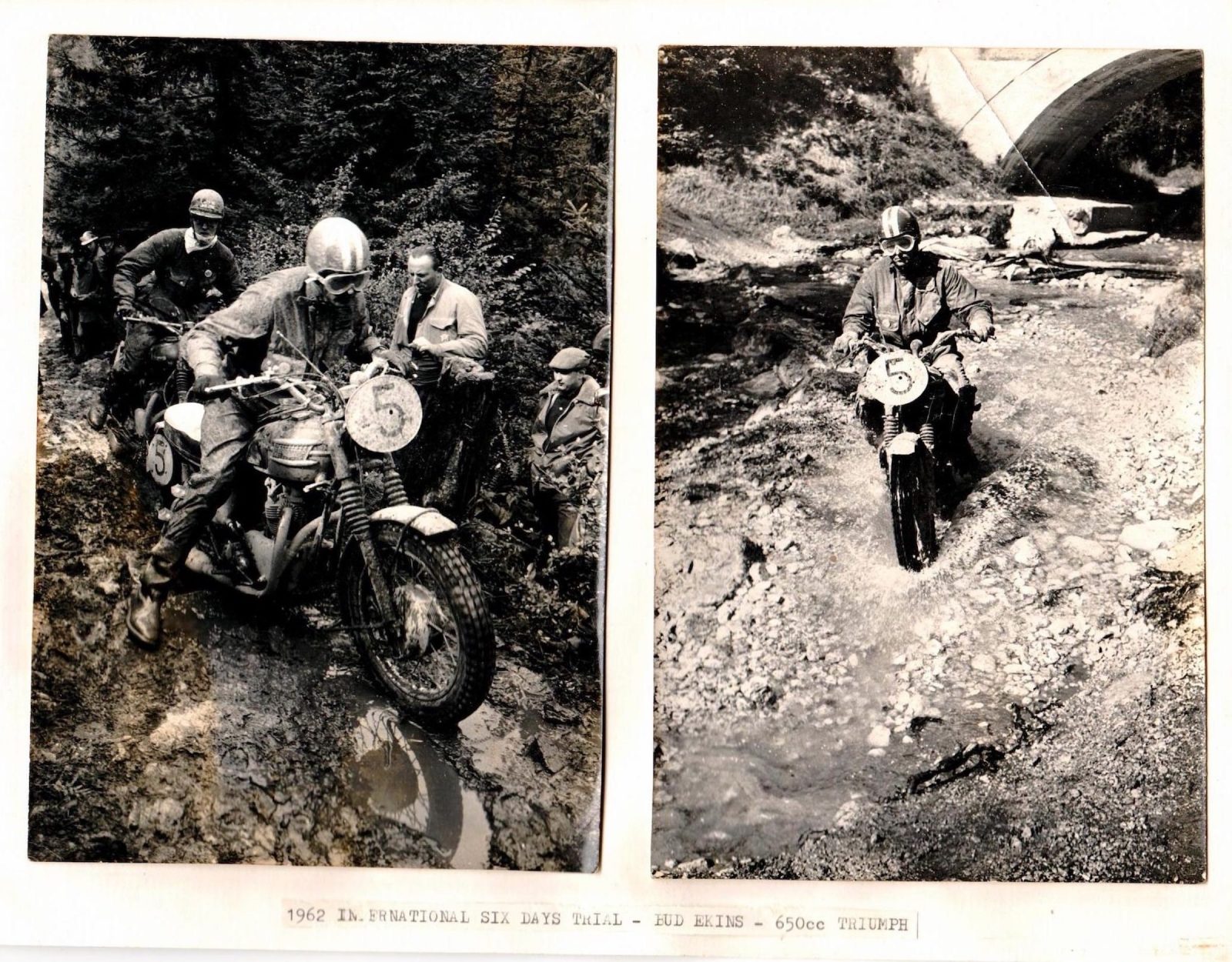 Triumph TR6SS Trophy - Bud Ekin's International's Six Days Trial Gold ...