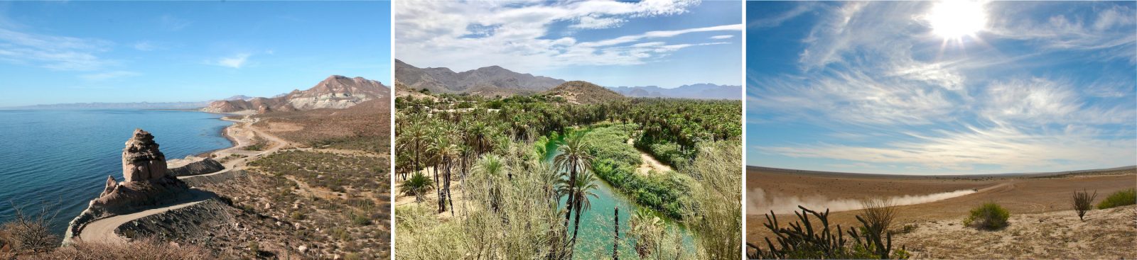 The Baja Map - Leather Bound Scroll Edition