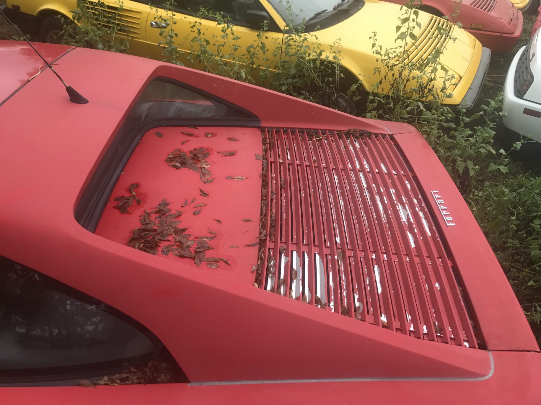 The Field Of Abandoned Ferraris (And How They Got There)