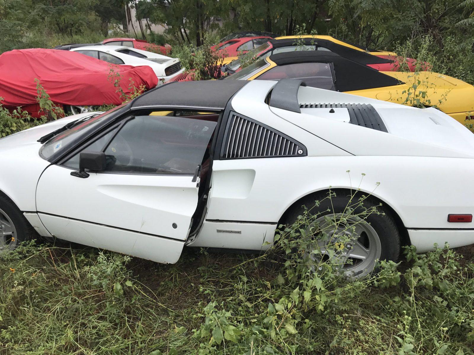 The Field Of Abandoned Ferraris (And How They Got There)