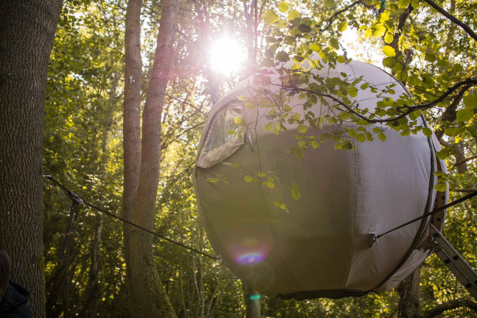 The Tree Tent – A Spherical Kit-Based Tent Designed To Be Suspended In ...