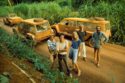 The Incredible Story Of The Africar - The Wooden-Bodied Car For Africa