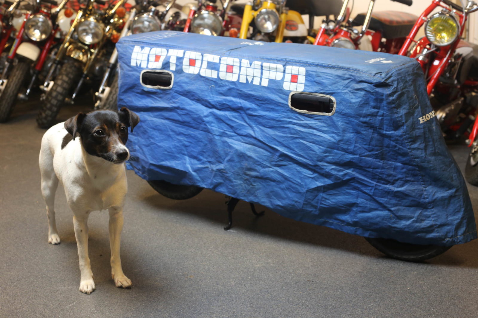 The Honda Motocompo - An Iconic 1980s-Era Scooter That Fits In Your Trunk