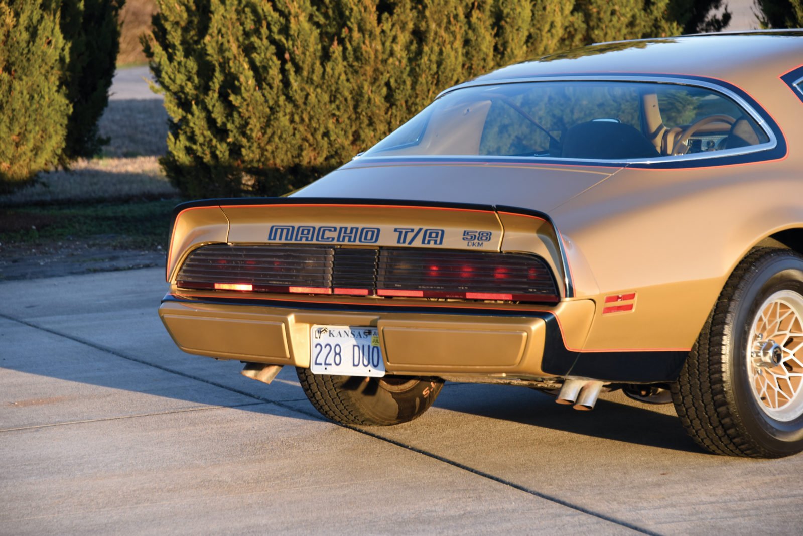 A Rare DKM Pontiac Macho Trans Am T/A - A Fantastic + Ridiculously ...