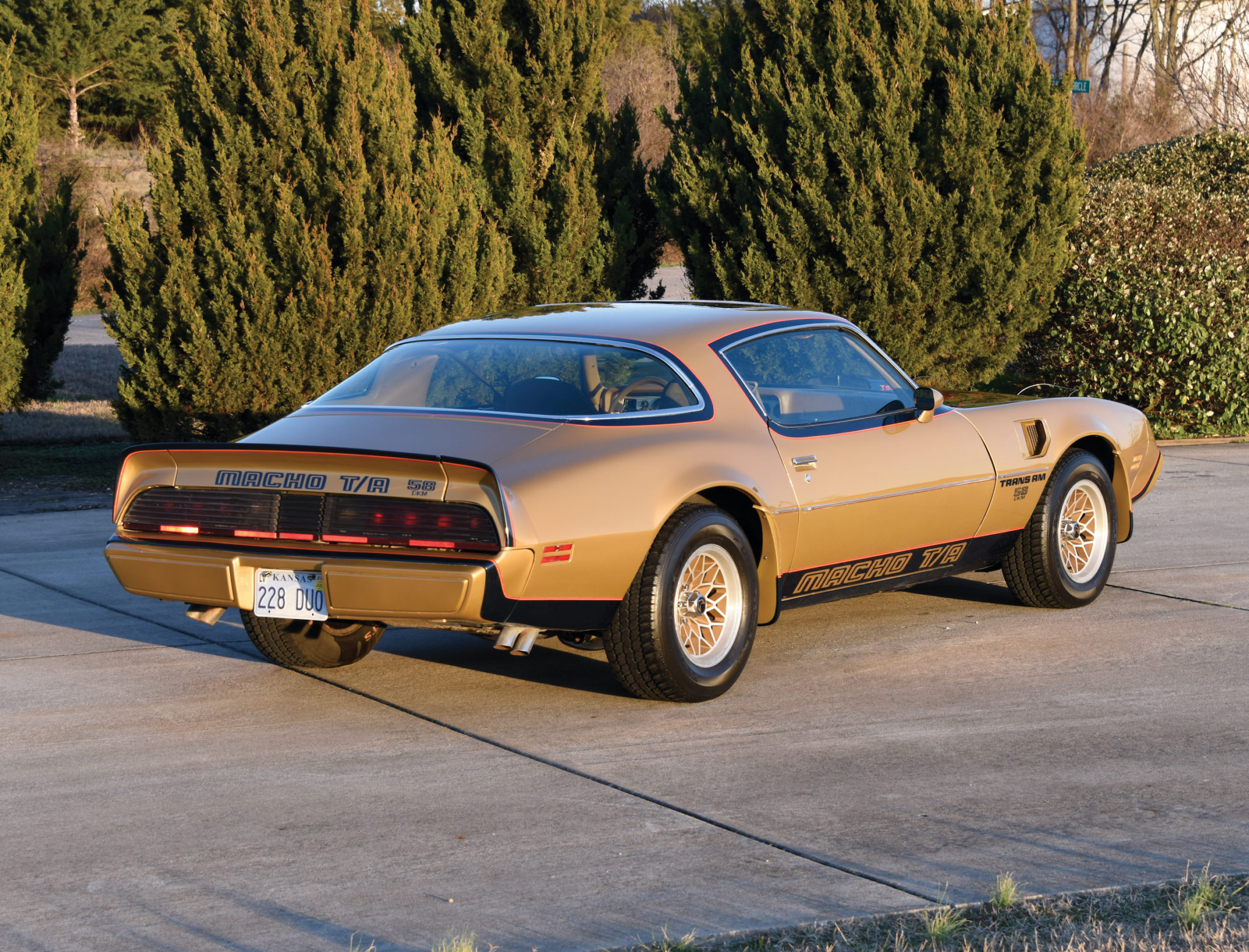 A Rare DKM Pontiac Macho Trans Am T/A - A Fantastic + Ridiculously ...