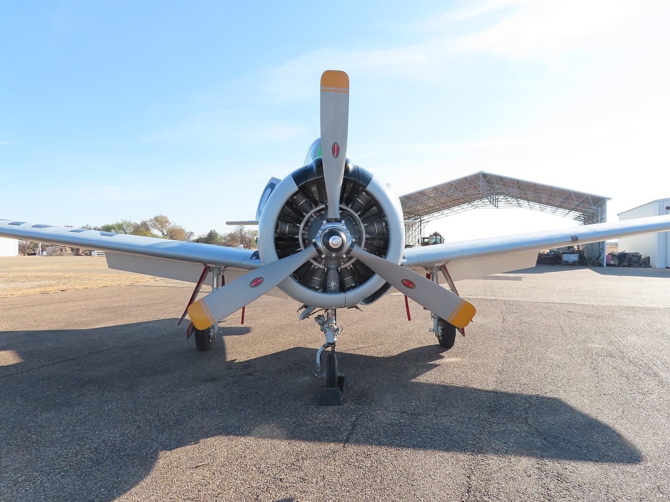 Warbird For Sale: A US Navy Specification North American T-28 ...