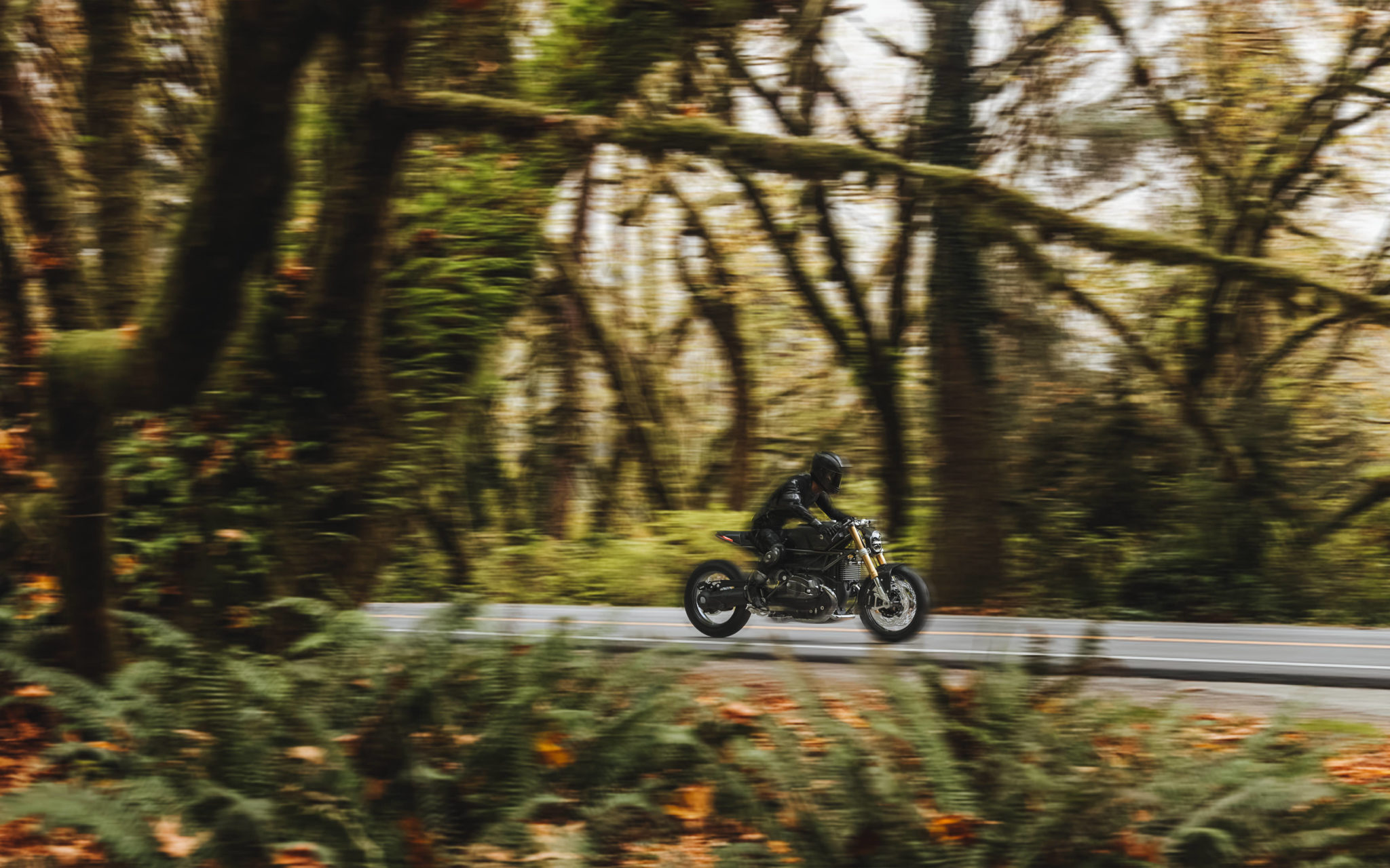 The Hookie R nineT Cobra - A Limited Edition Production Custom ...