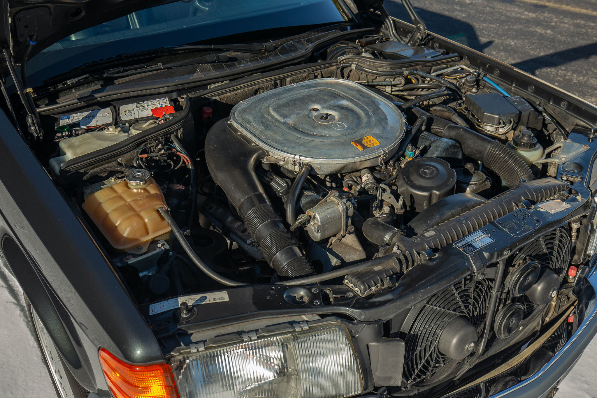 Station Wagon Sleeper: A 300 hp 5.5 Litre V8 Mercedes-Benz 560 TEL ...