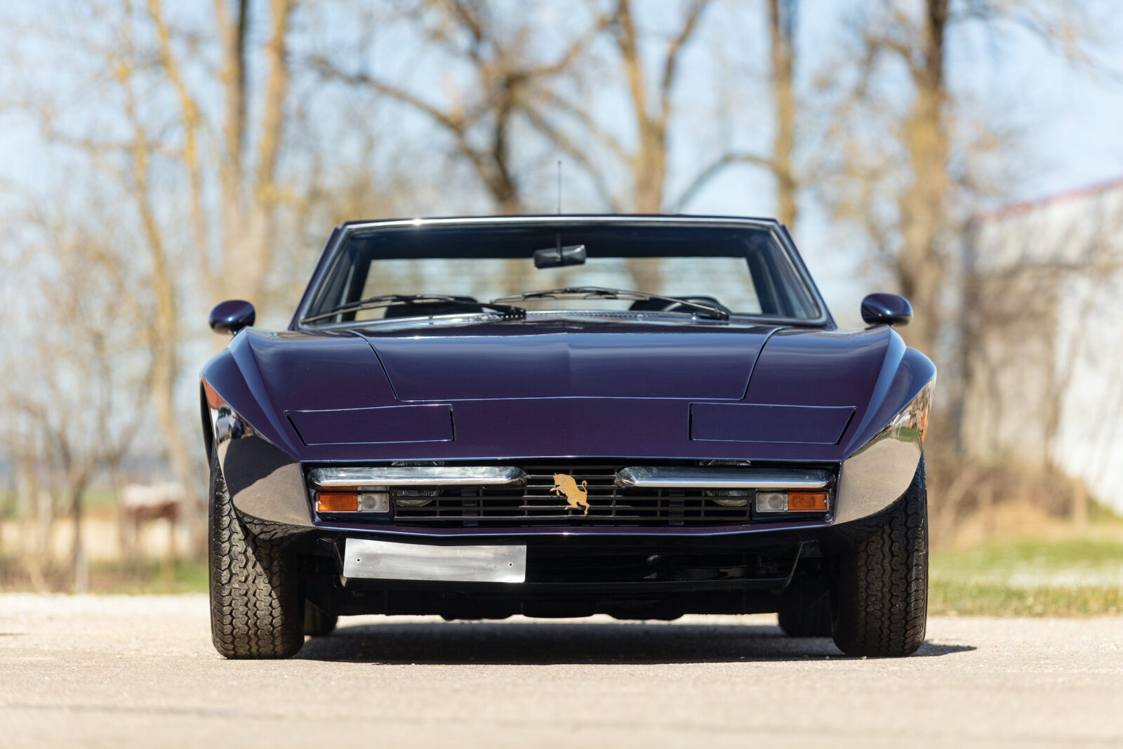 1 Of 125 Made: The Intermeccanica Indra