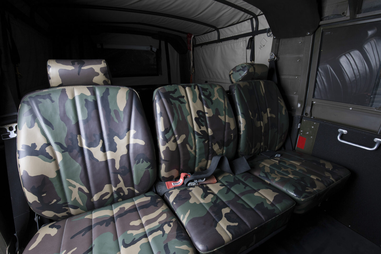 A Steyr-Puch Pinzgauer 6×6 With Art By Ornamental Conifer