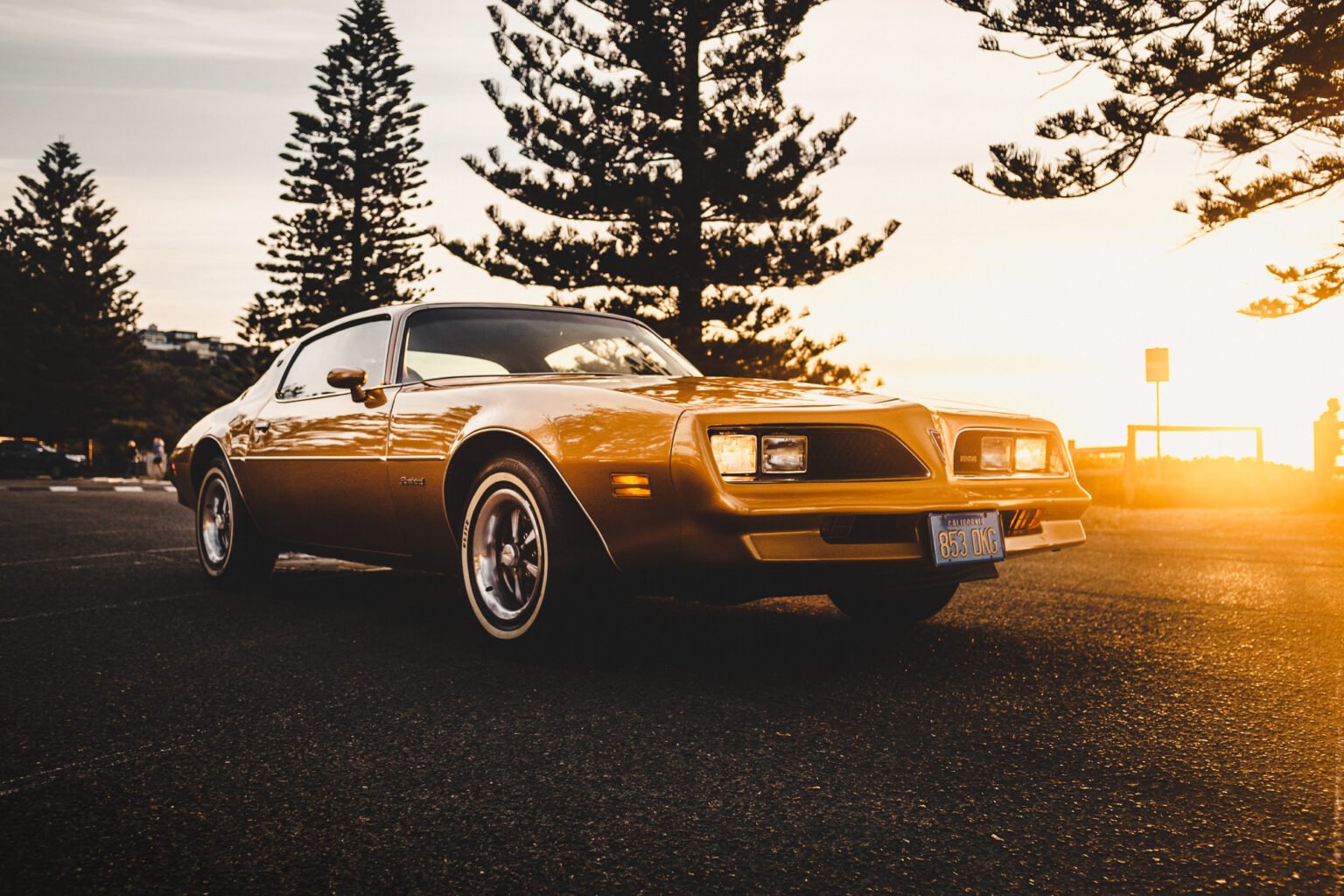 This Is The Pontiac Firebird From "The Rockford Files"