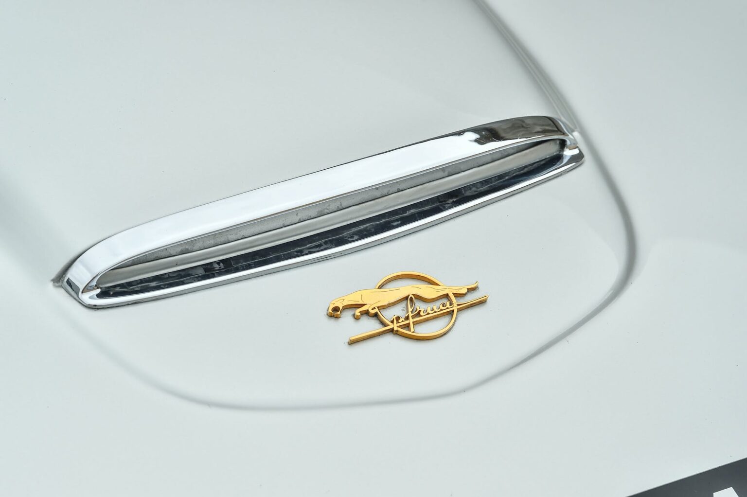 The "Italian E-Type" – A Jaguar E-Type By Frua And Italsuisse