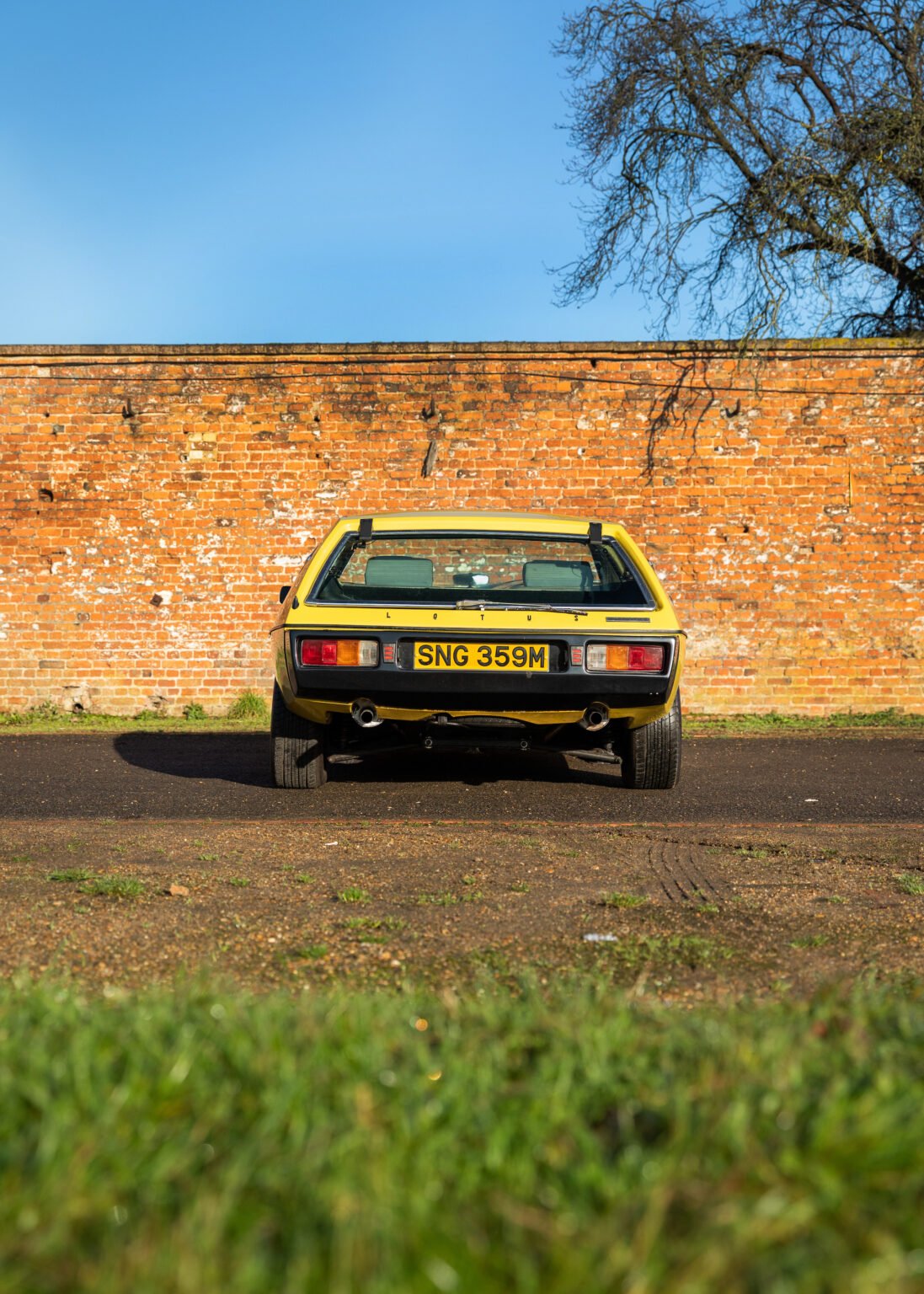 Ronnie Peterson's Lotus Elite Type 75 Is For Sale