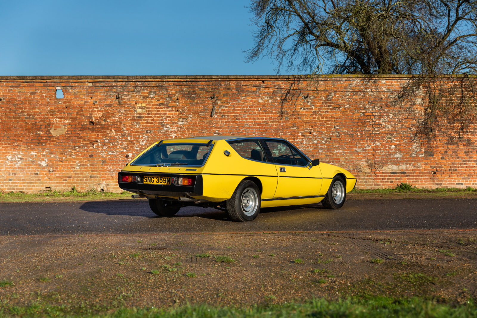 Ronnie Peterson's Lotus Elite Type 75 Is For Sale
