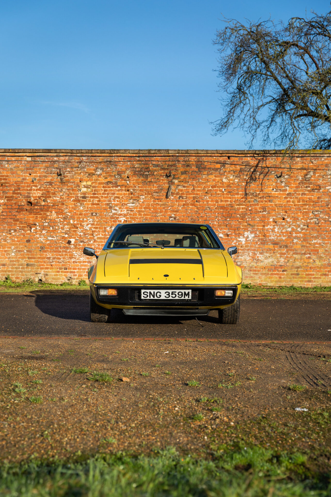 Ronnie Peterson's Lotus Elite Type 75 Is For Sale