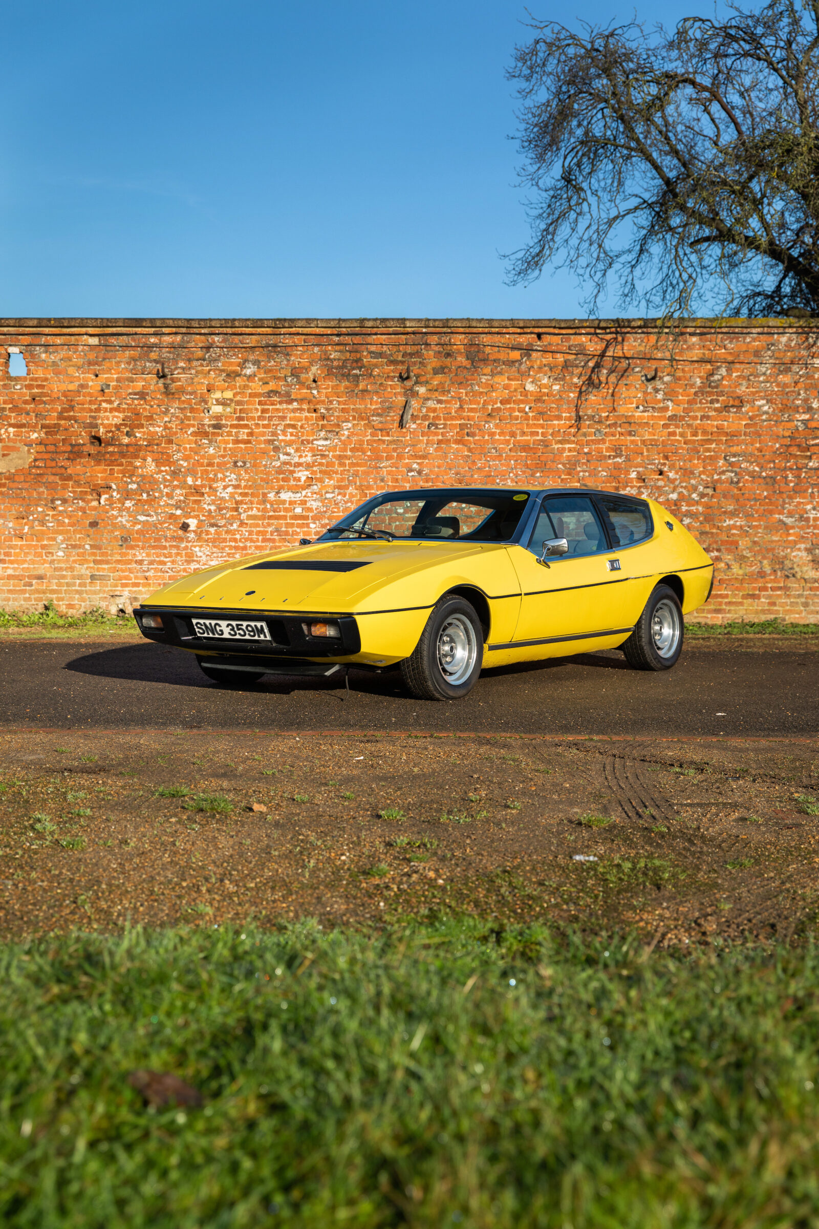 Ronnie Peterson's Lotus Elite Type 75 Is For Sale