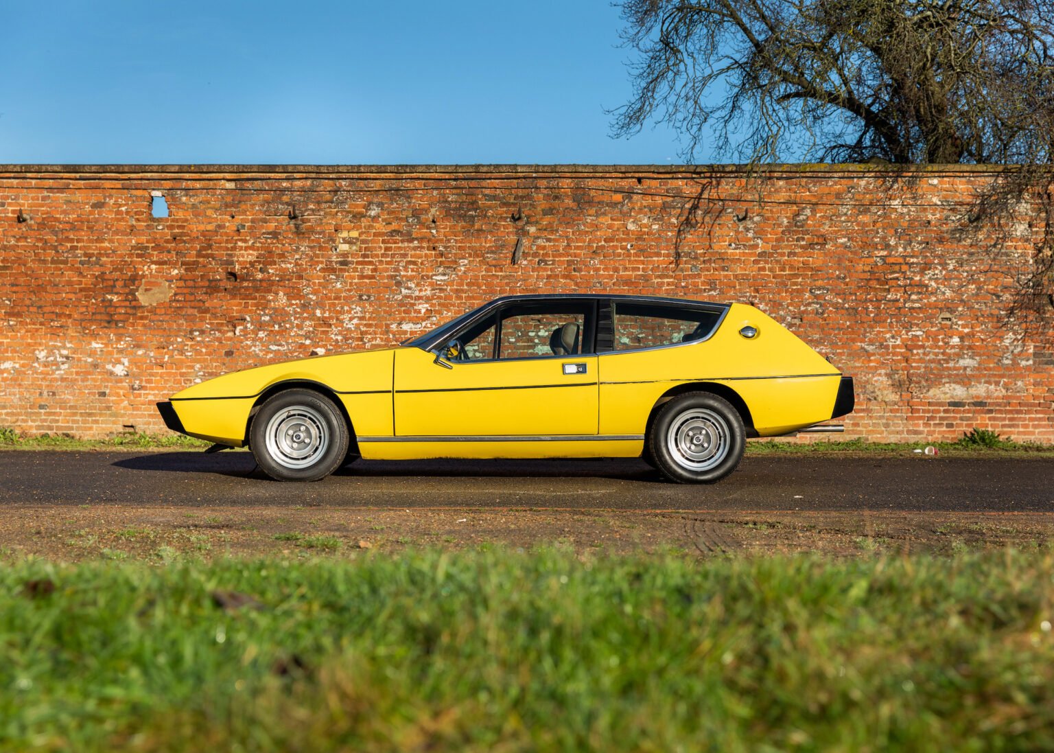 Ronnie Peterson's Lotus Elite Type 75 Is For Sale