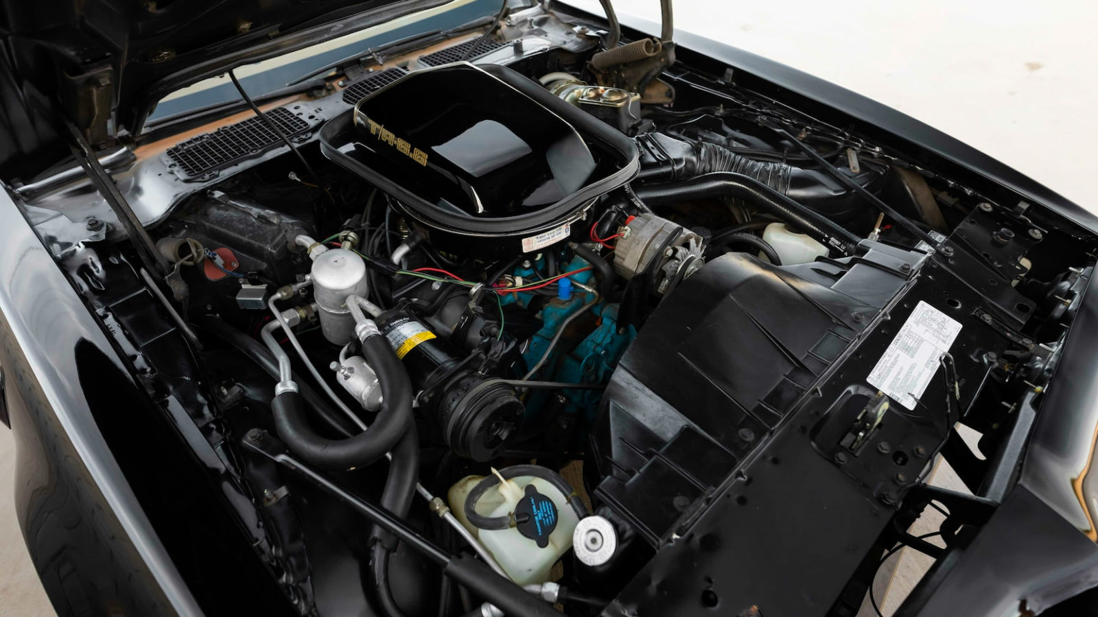 A "Brand New" 1979 Pontiac Trans Am T/A 6.6