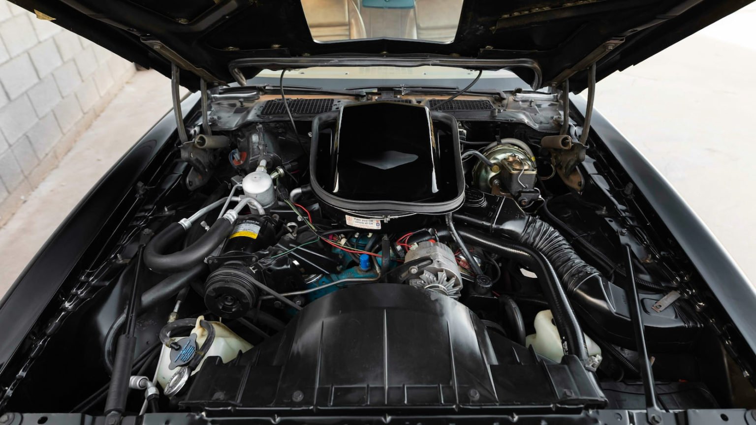 A "Brand New" 1979 Pontiac Trans Am T/A 6.6