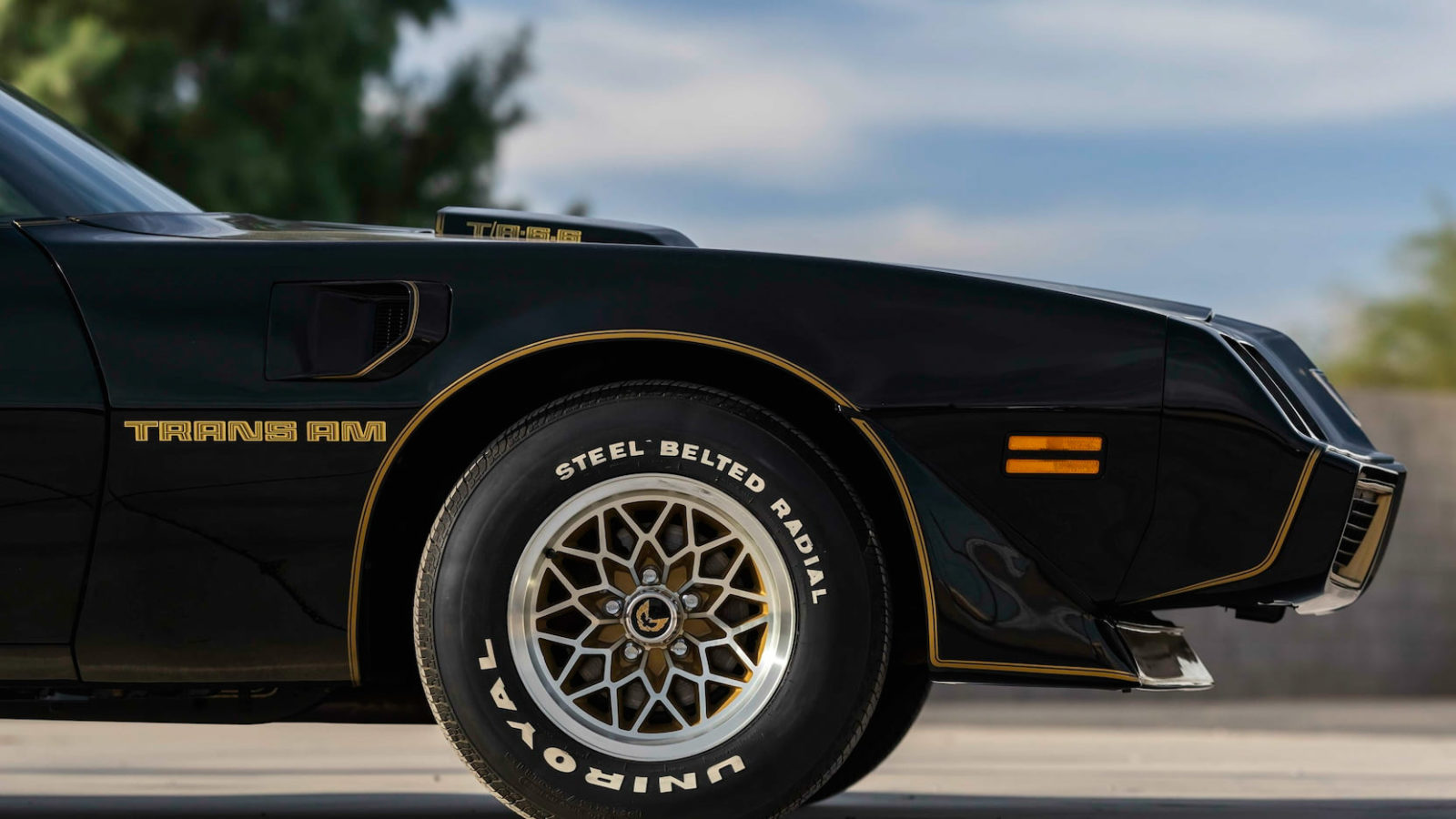 A "Brand New" 1979 Pontiac Trans Am T/A 6.6