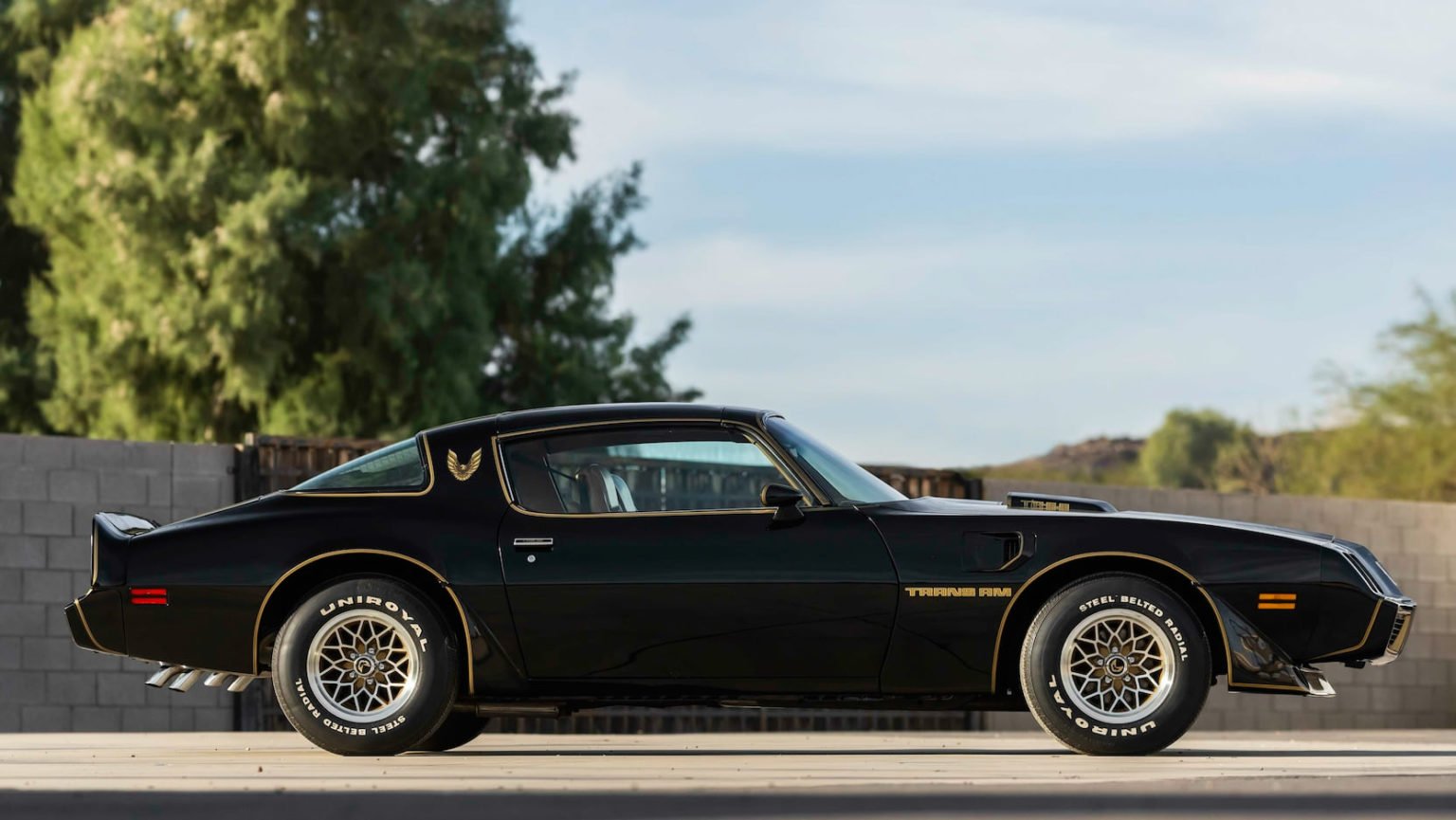 A "Brand New" 1979 Pontiac Trans Am T/A 6.6