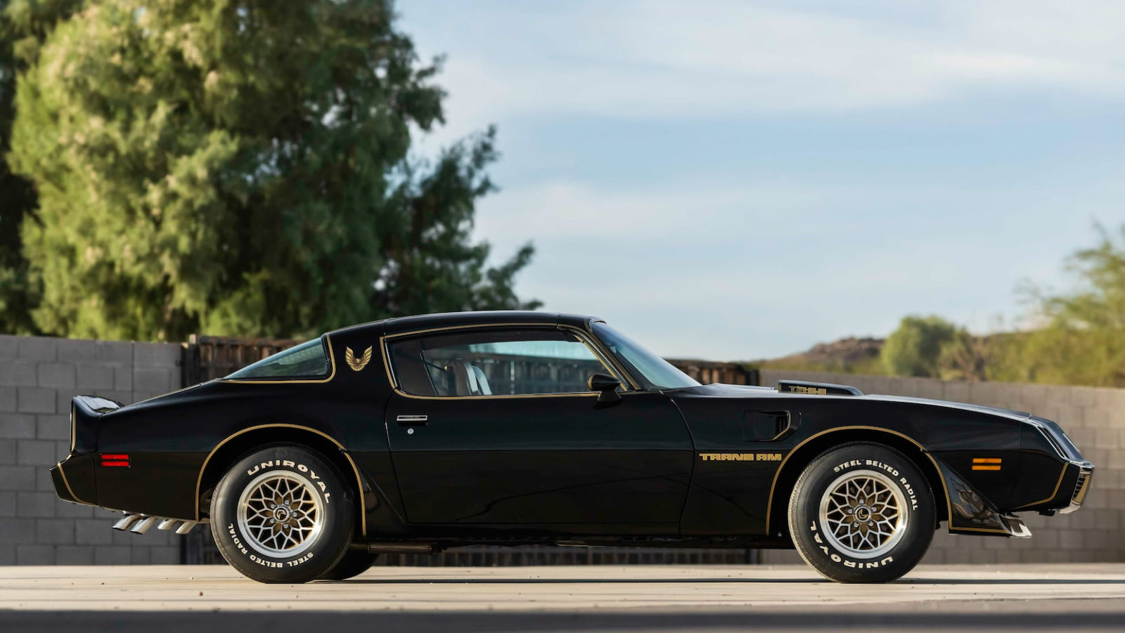 A "Brand New" 1979 Pontiac Trans Am T/A 6.6