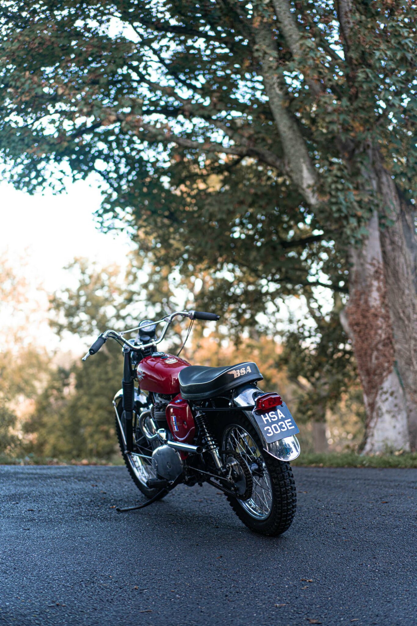 1967 BSA Hornet – A Manufacturing facility-Constructed "Desert Sled ...