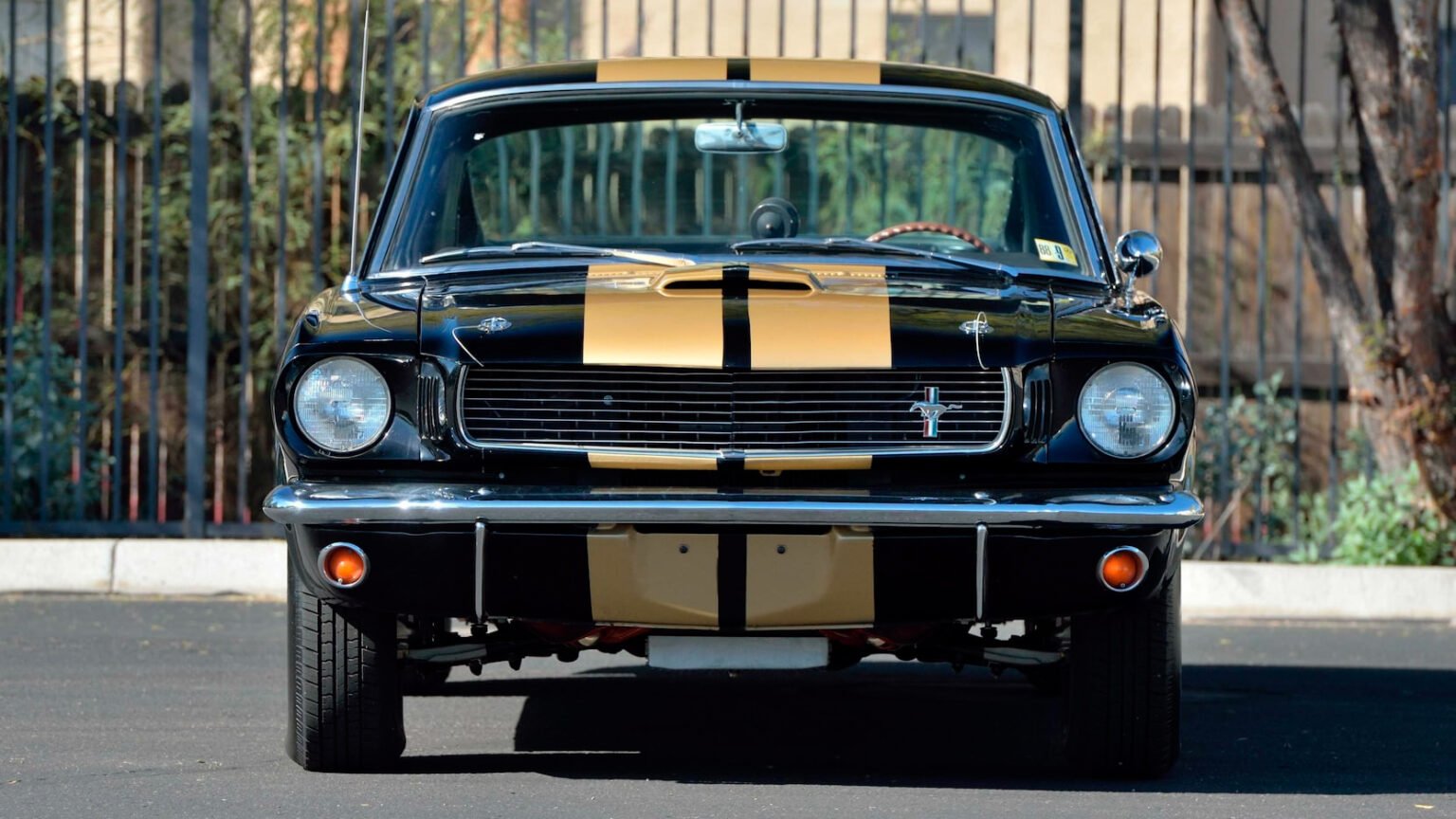 The Greatest Rental Car In History: The Shelby GT350H "Rent-A-Racer"