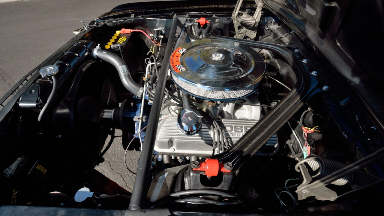 The Greatest Rental Car In History: The Shelby GT350H "Rent-A-Racer"