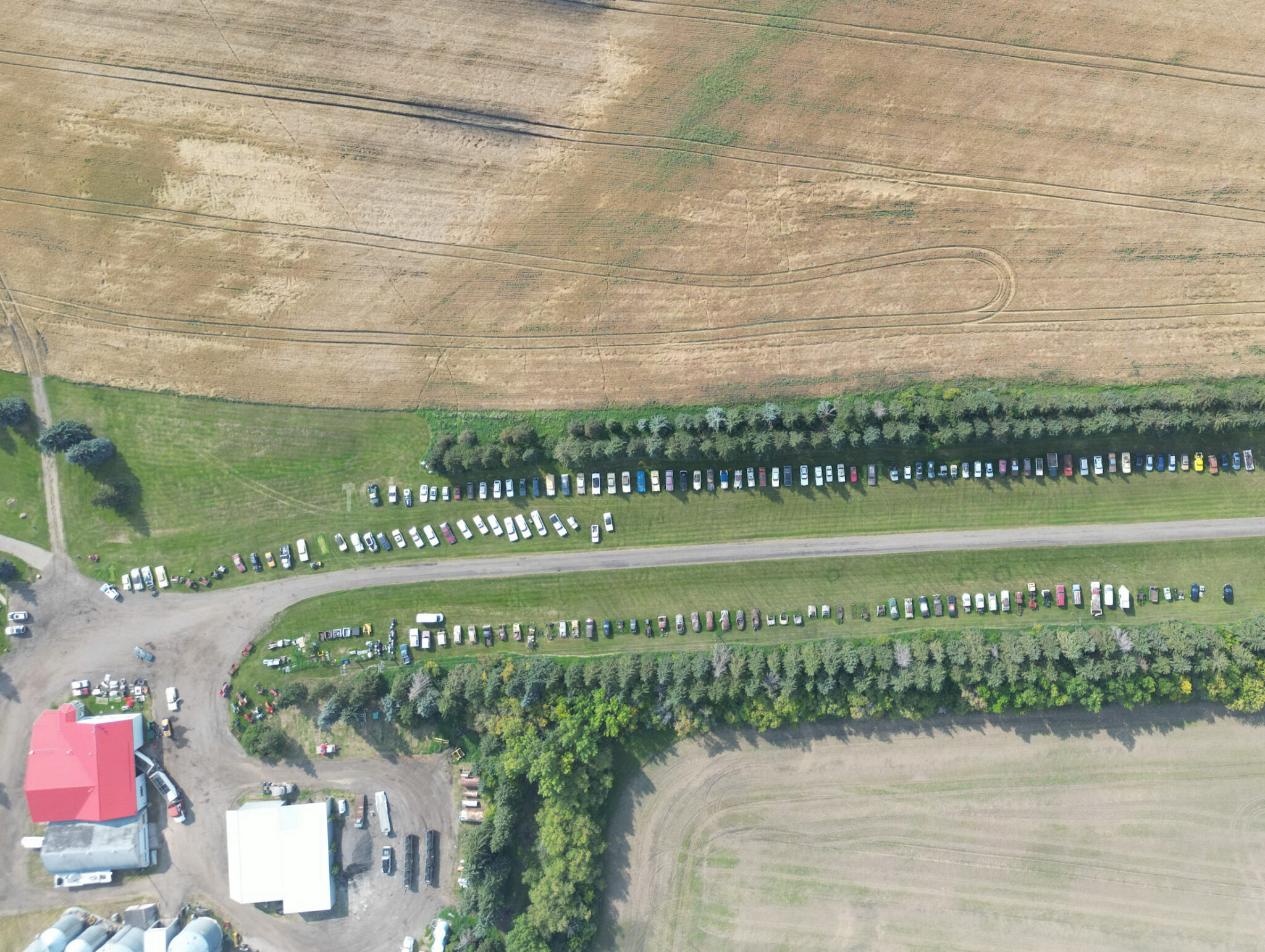 Field Find: 230+ Cars Uncovered On A Canadian Farm – And They're Now ...