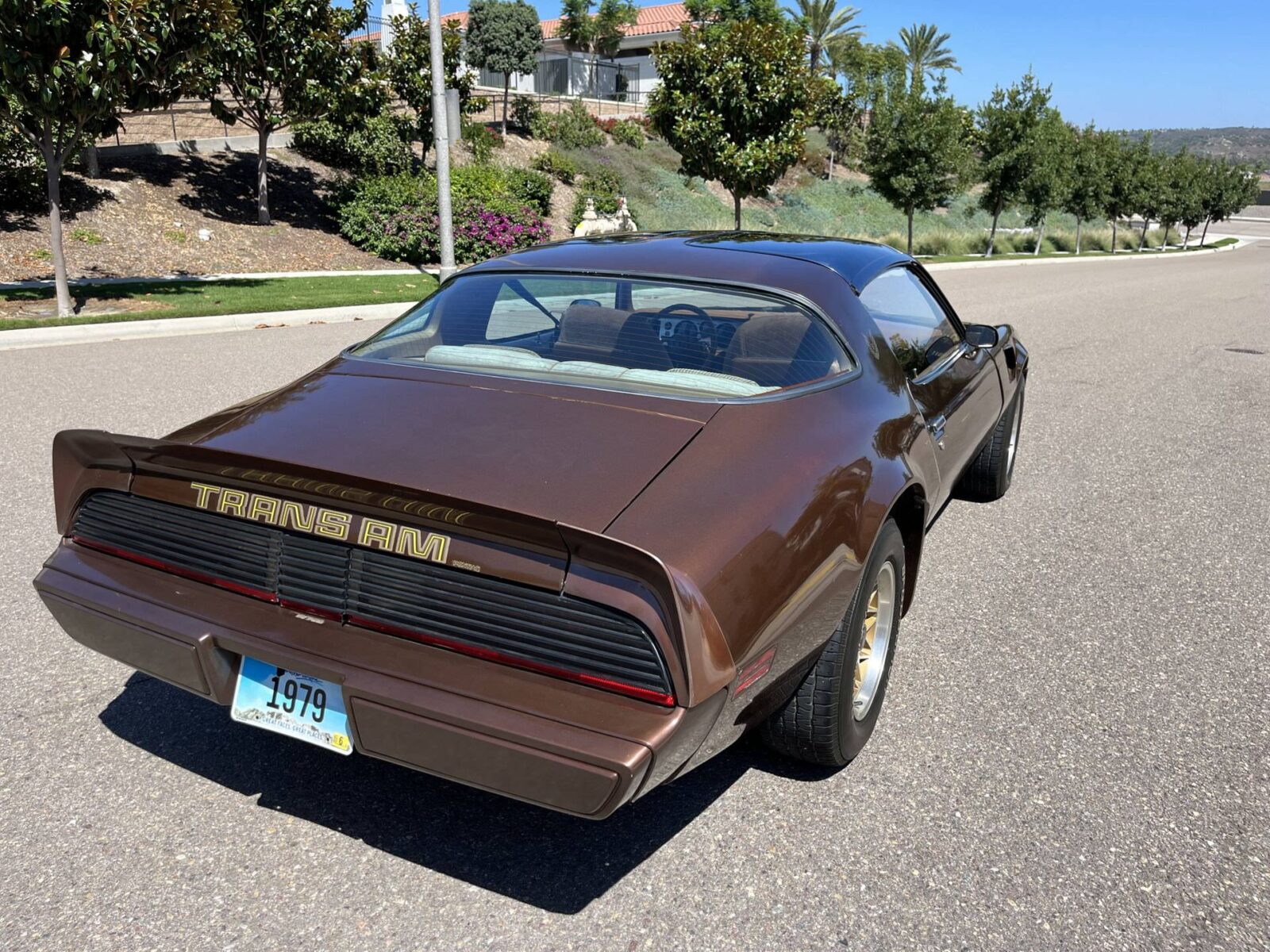 Last Of The 1970s Trans Ams: A 1979 Pontiac Trans Am T-Top
