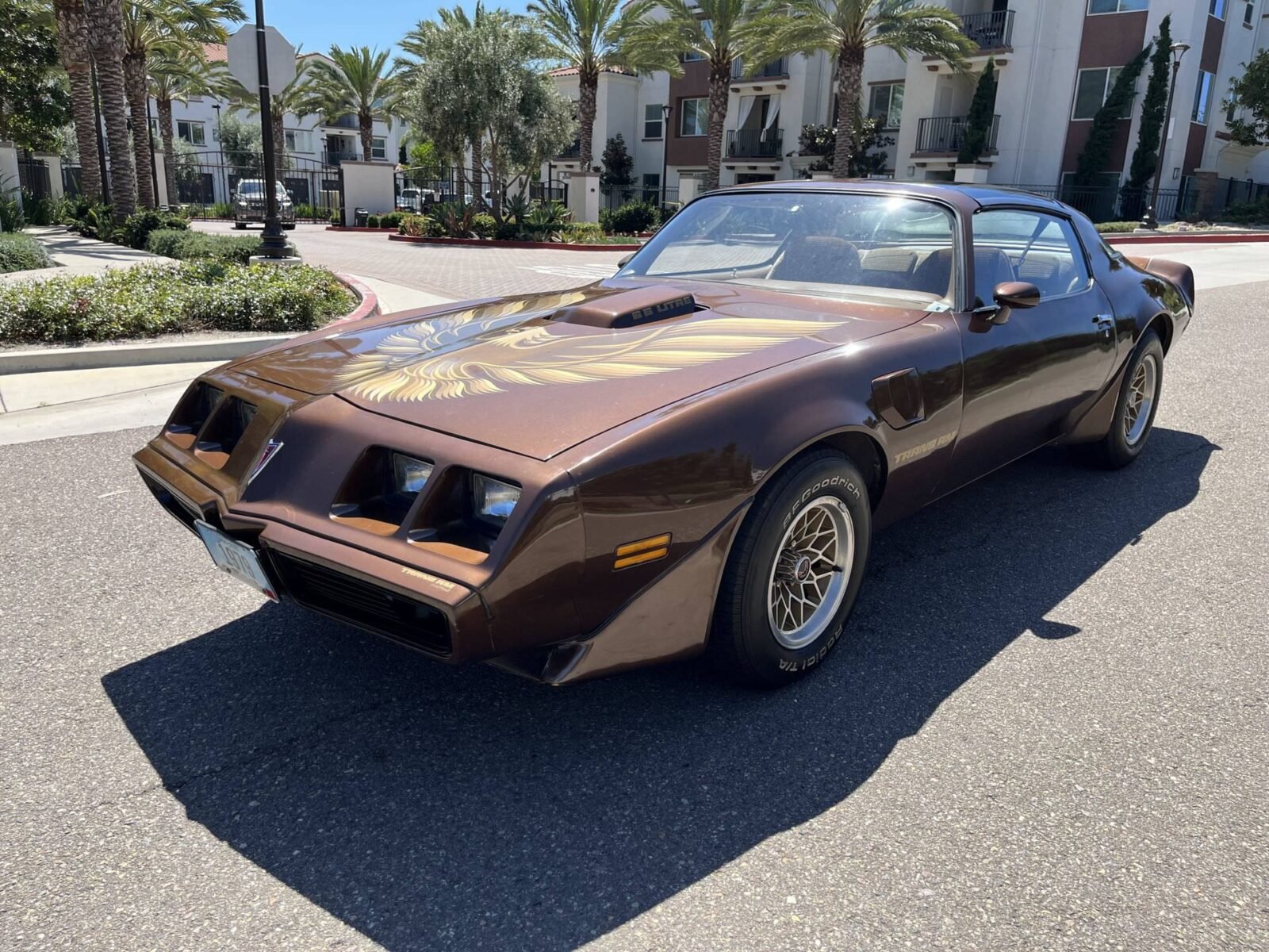 Last Of The 1970s Trans Ams: A 1979 Pontiac Trans Am T-Top
