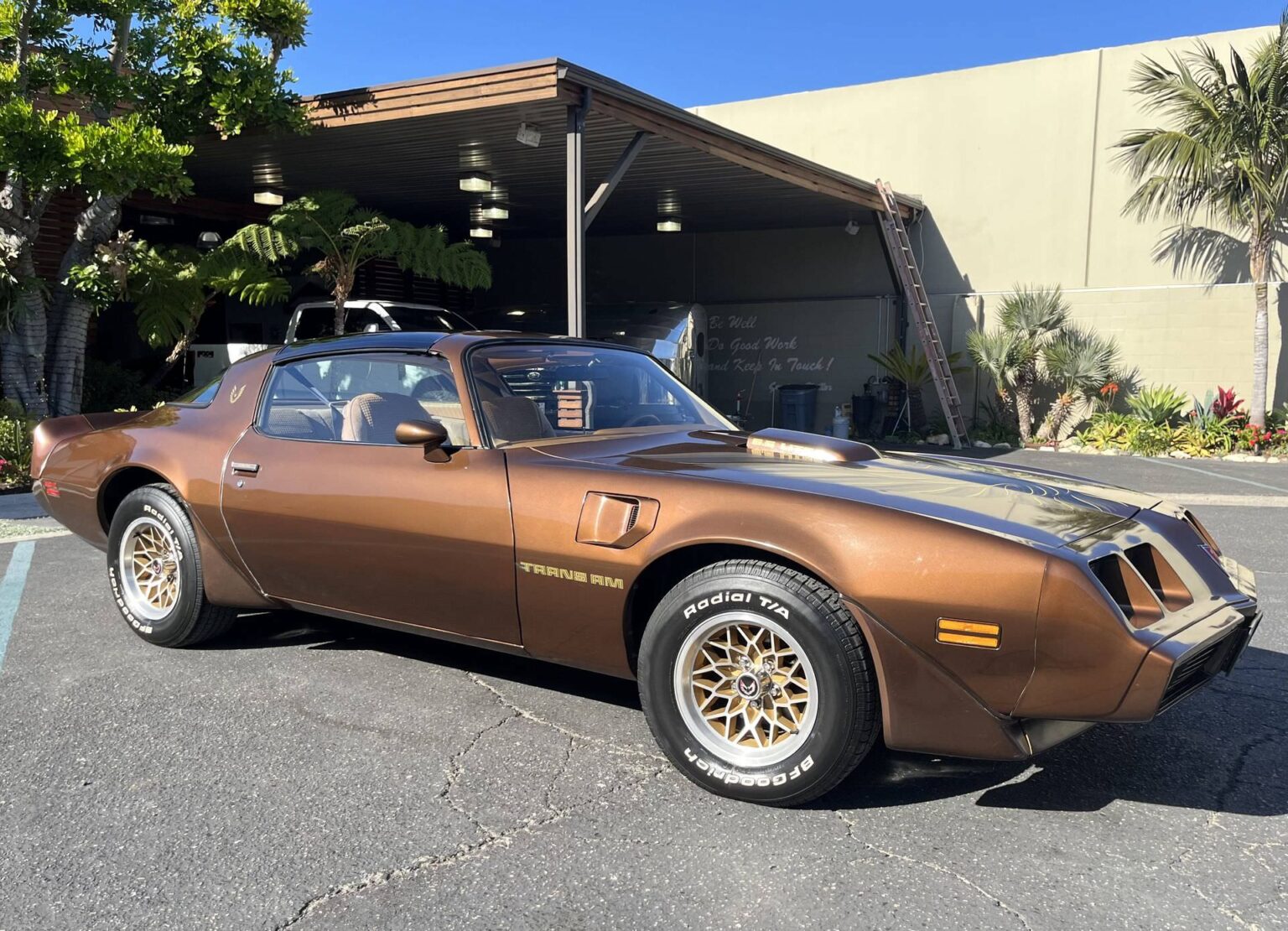 Last Of The 1970s Trans Ams: A 1979 Pontiac Trans Am T-Top