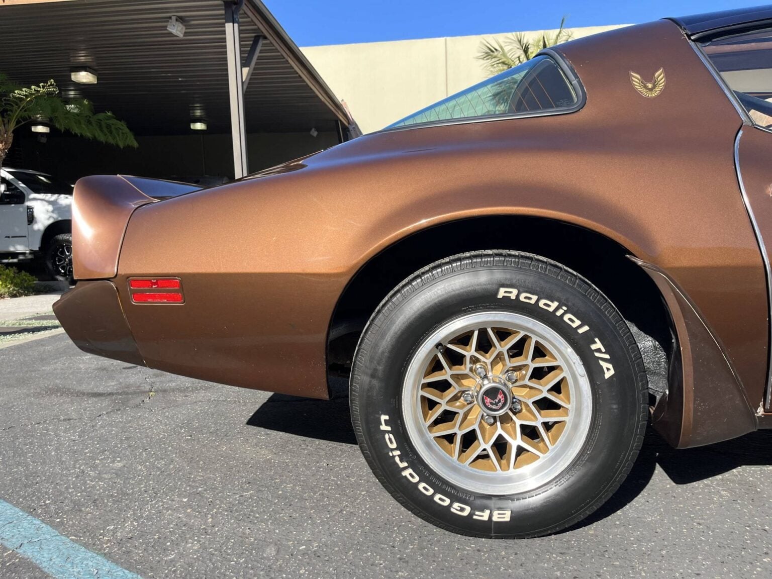 Last Of The 1970s Trans Ams: A 1979 Pontiac Trans Am T-Top
