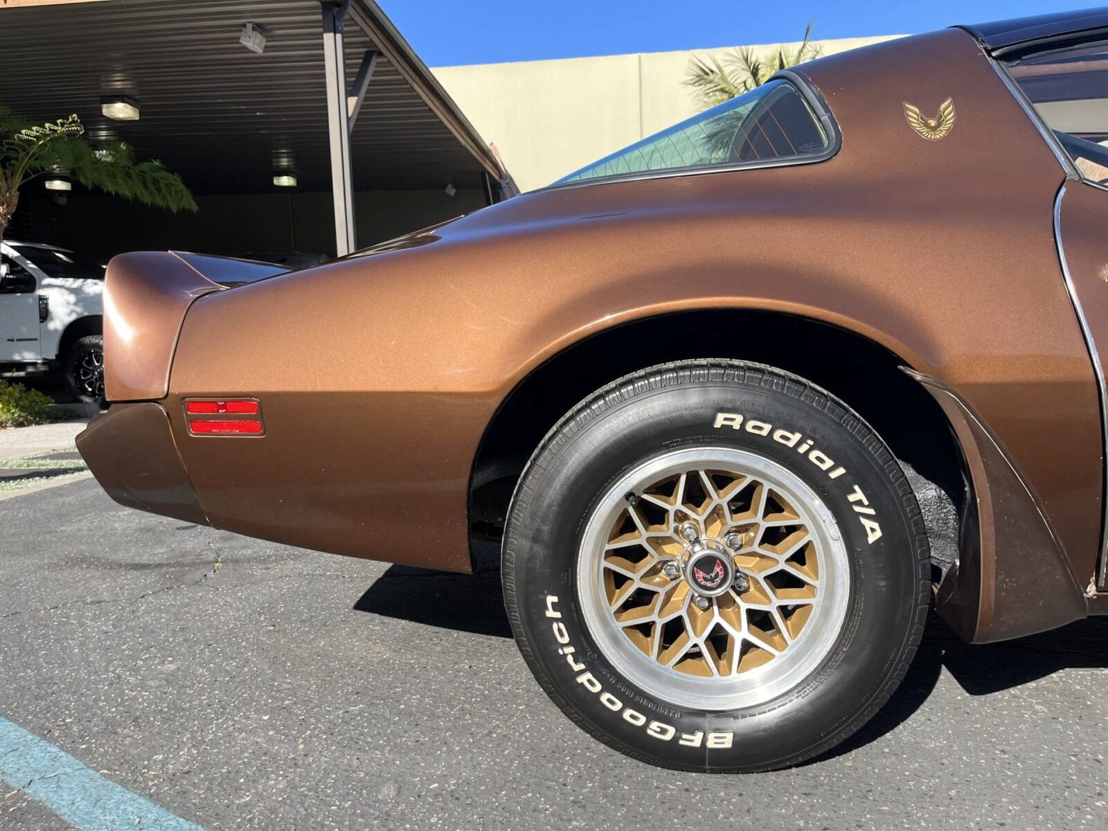 Last Of The 1970s Trans Ams: A 1979 Pontiac Trans Am T-Top