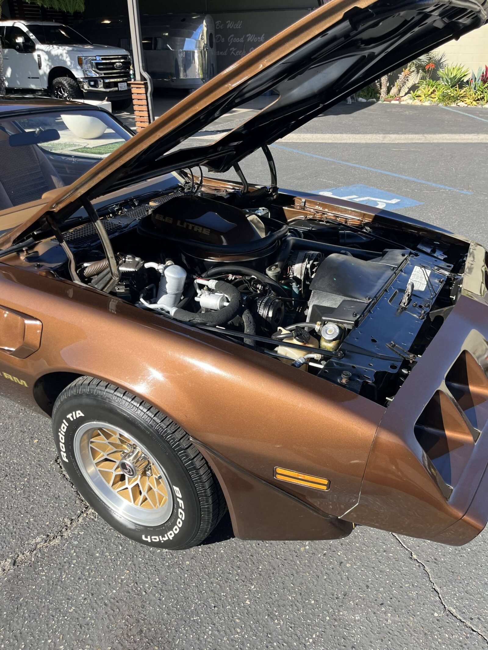 Last Of The 1970s Trans Ams: A 1979 Pontiac Trans Am T-Top