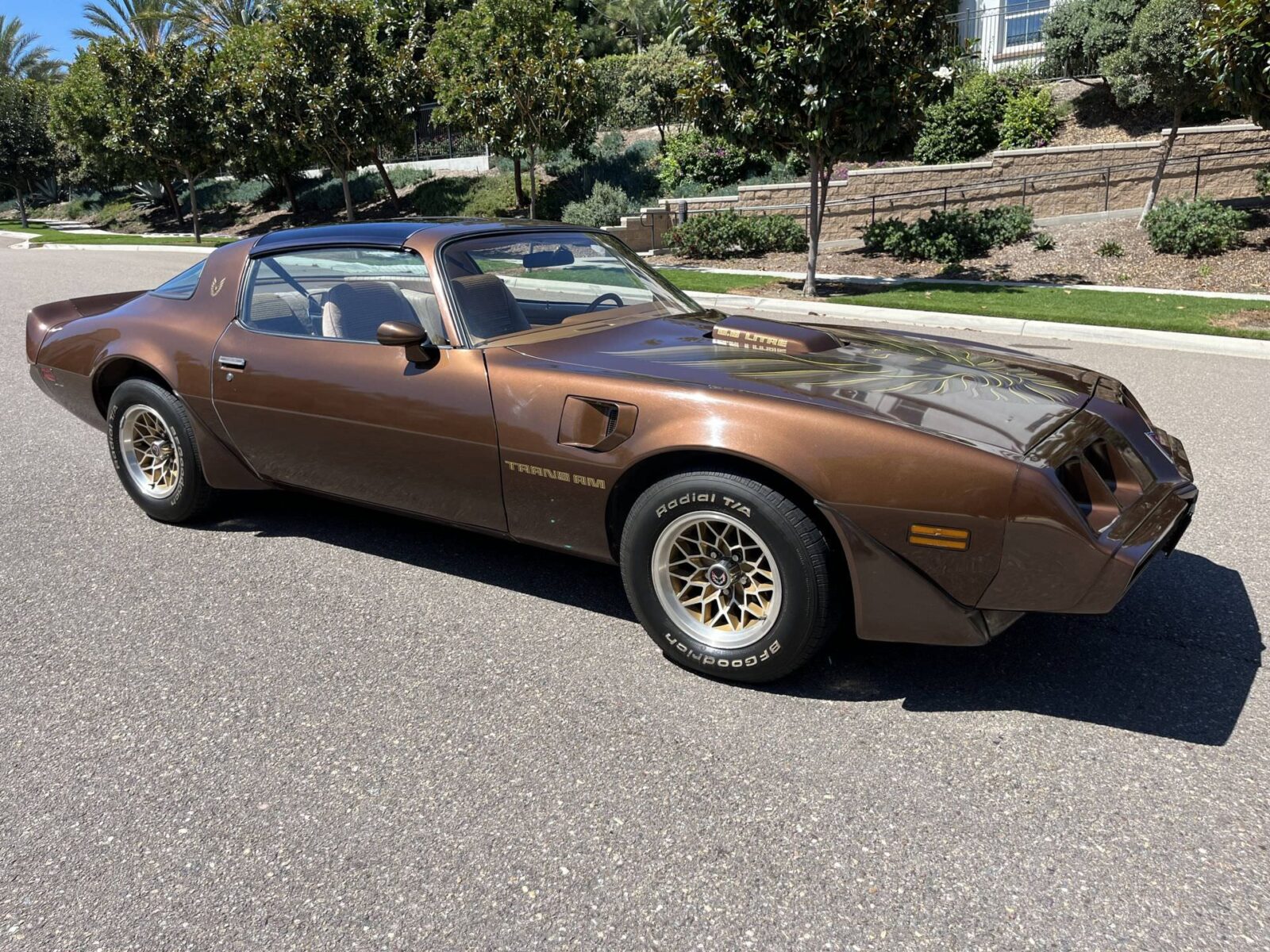 Last Of The 1970s Trans Ams: A 1979 Pontiac Trans Am T-Top