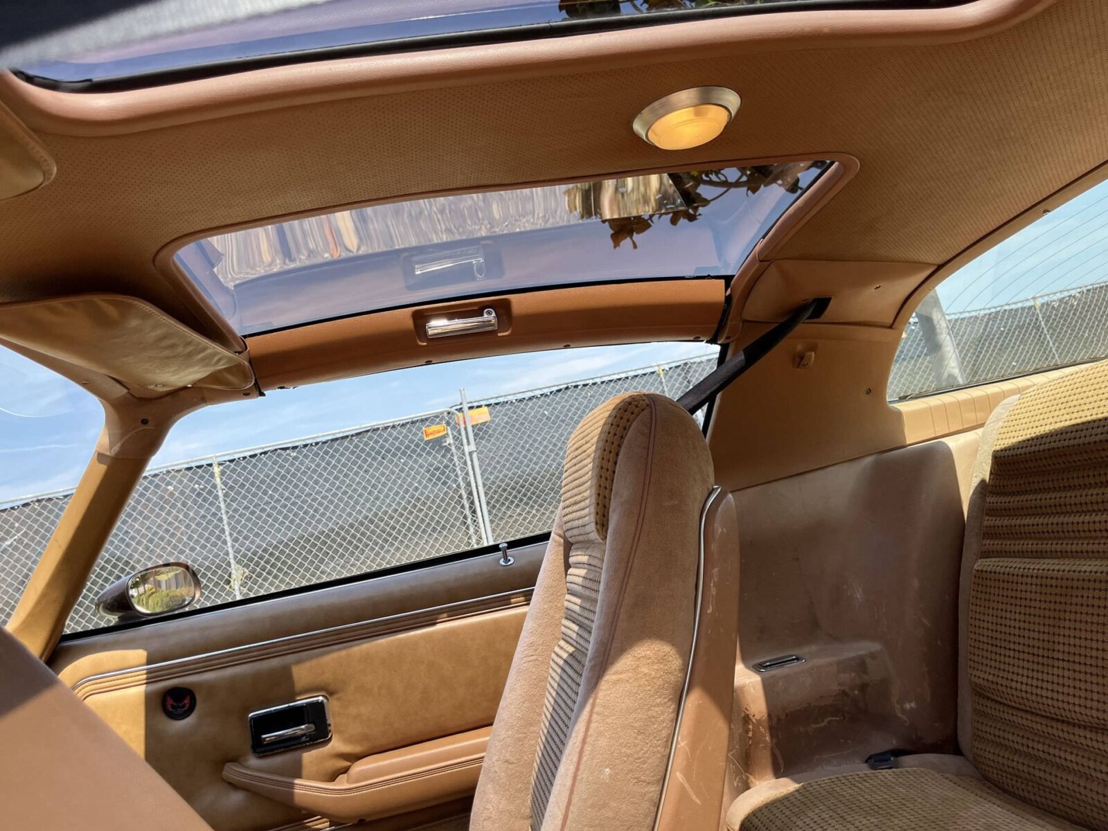 Last Of The 1970s Trans Ams: A 1979 Pontiac Trans Am T-Top