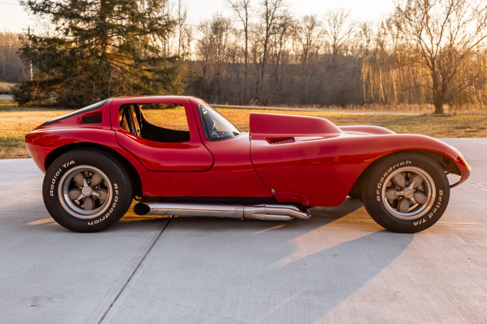 A Bill Thomas Cheetah Clone x Corvette Crossbreed