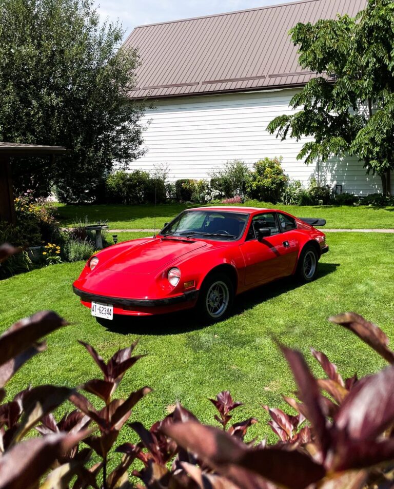 A Rare Brazilian Sports Car: The Puma GTI