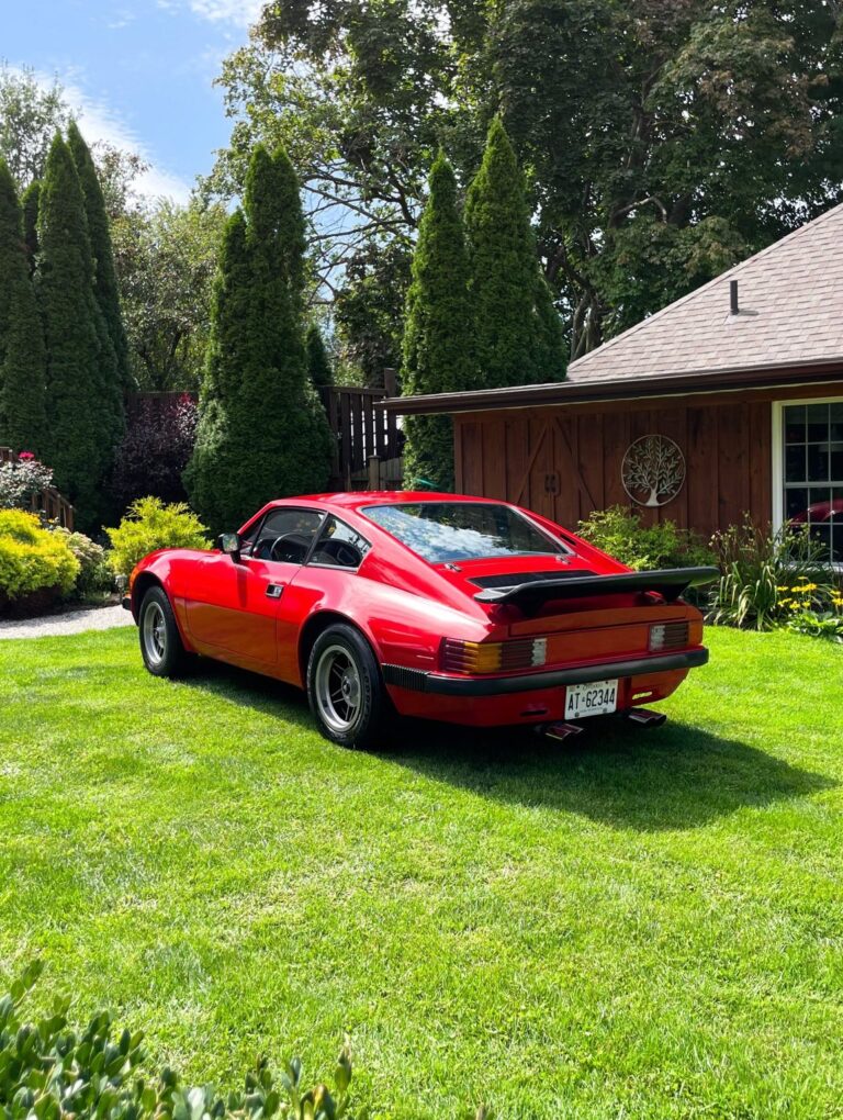 A Rare Brazilian Sports Car: The Puma GTI