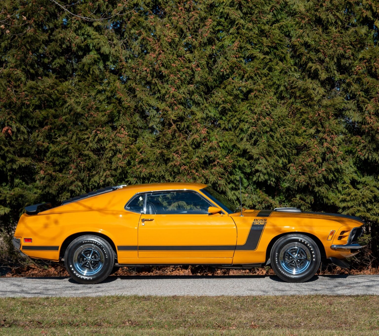 1970 Ford Mustang Boss 302: A Trans-Am Homologation Special