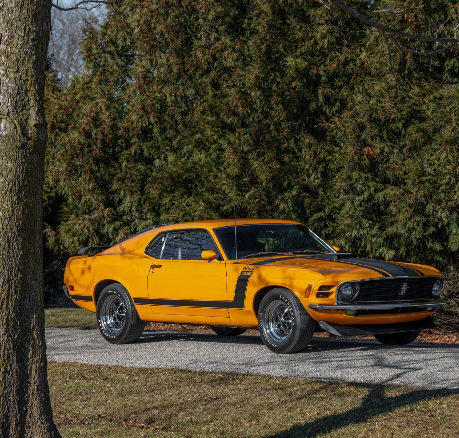 1970 Ford Mustang Boss 302: A Trans-Am Homologation Special