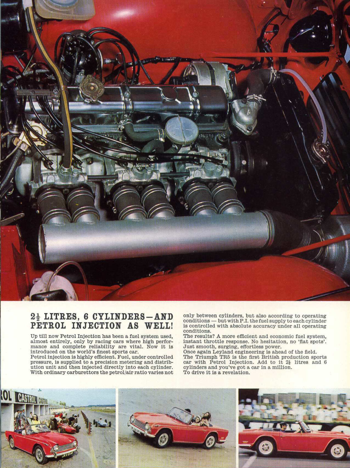 The Triumph TR5: Silodrome Buying Guides