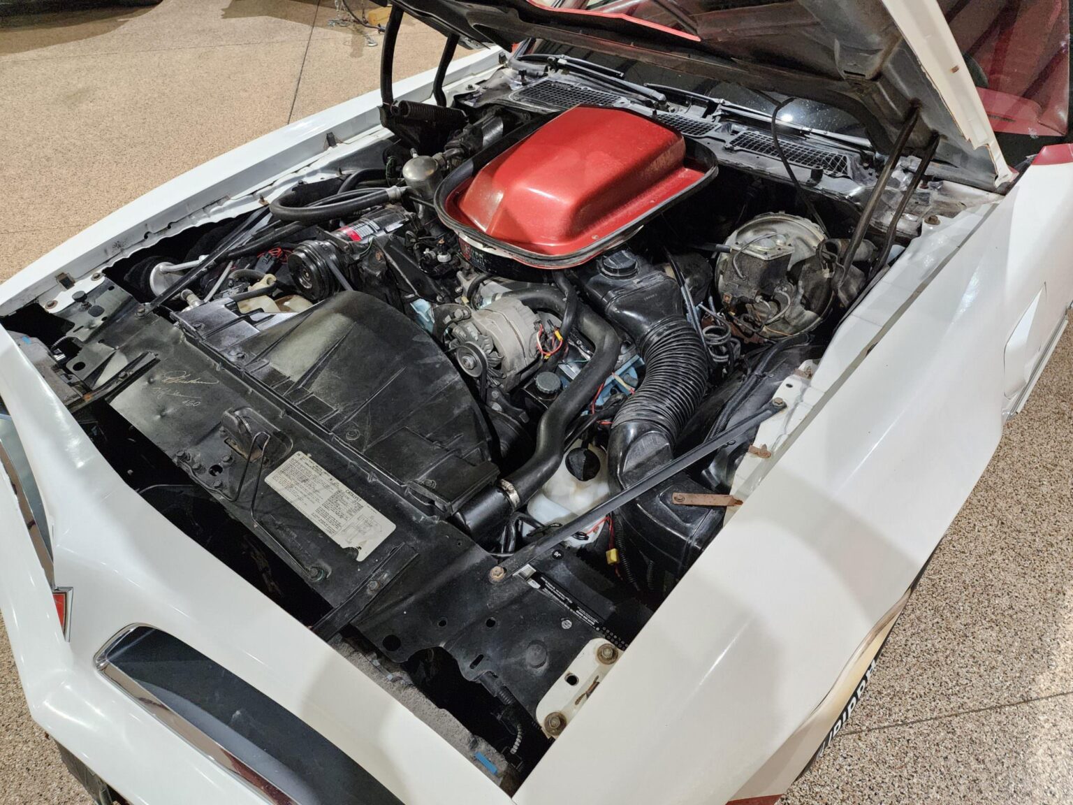 For Sale: A Rare 1978 Pontiac Firebird "Macho" Trans Am