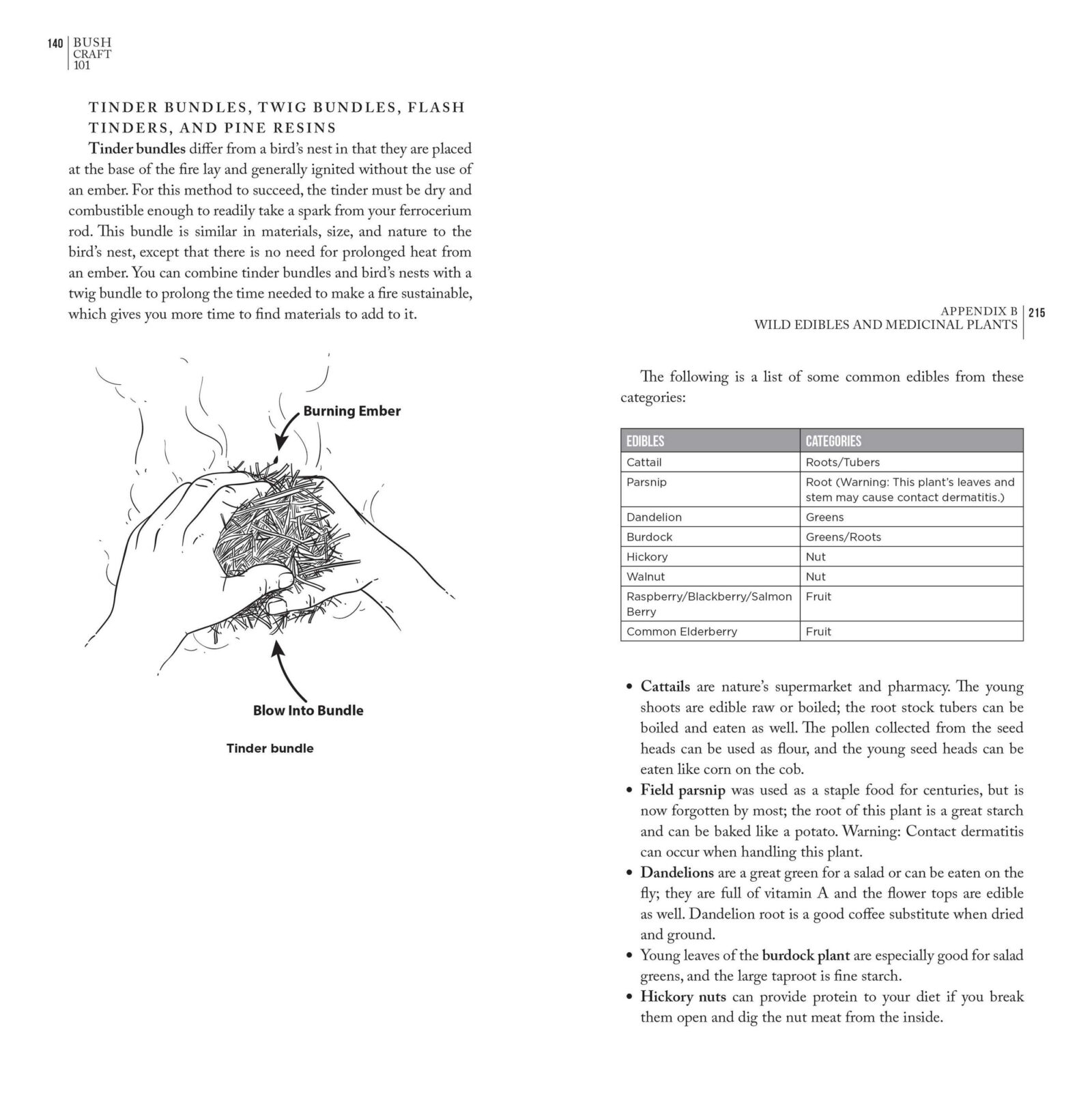 Bushcraft 101: A Field Guide to the Art of Wilderness Survival