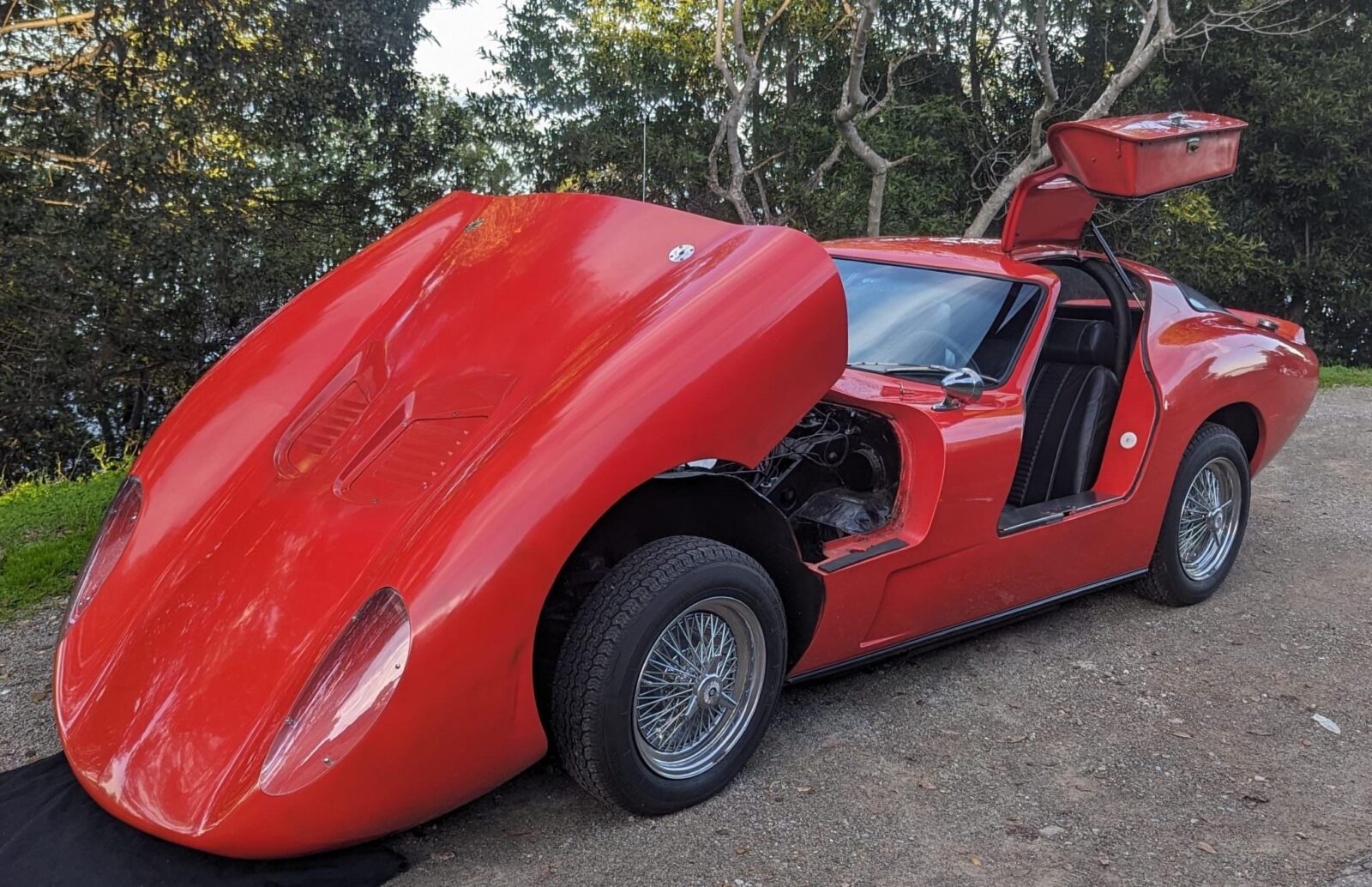 The Fiberfab Caribee: A Little-Known American Gullwing Coupe